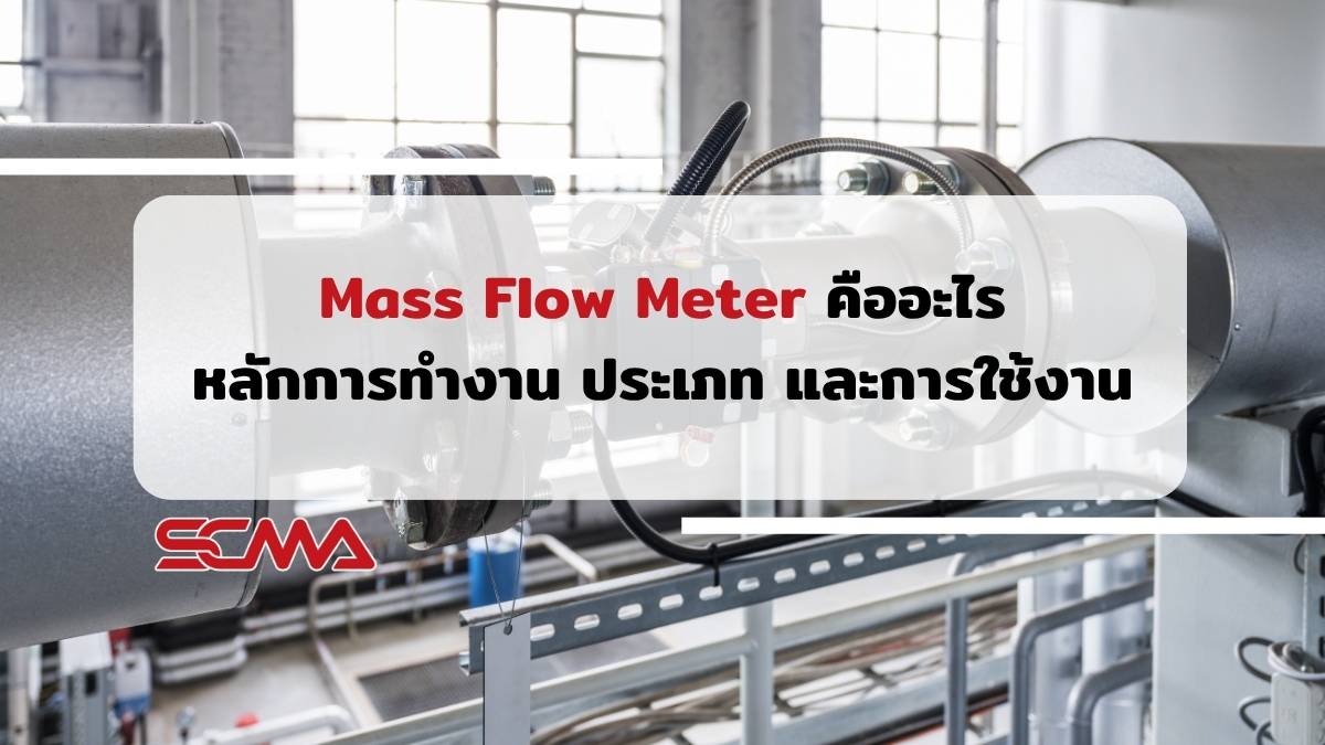 Mass Flow Meter คืออะไร หลักการทำงาน ประเภท และการใช้งาน
